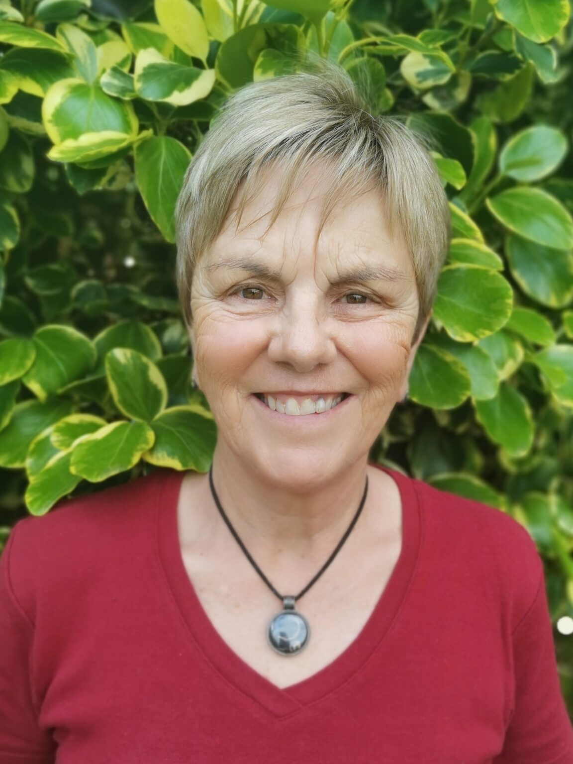 Open Brethren – Association of Christian Spiritual Directors in New Zealand